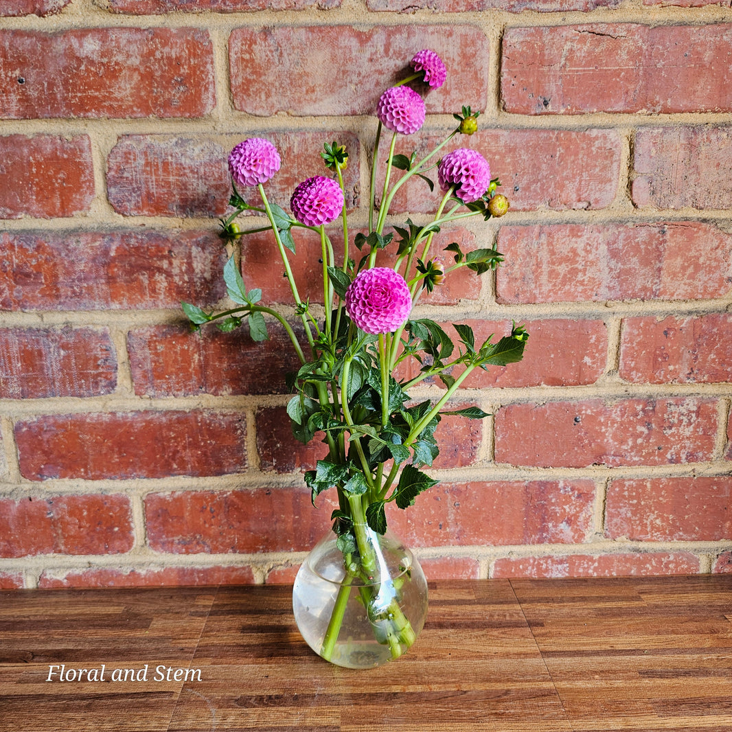 Products – Floral and Stem