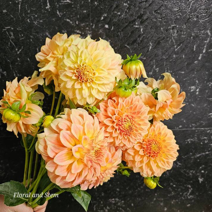 Bracken Sarah – Floral and Stem