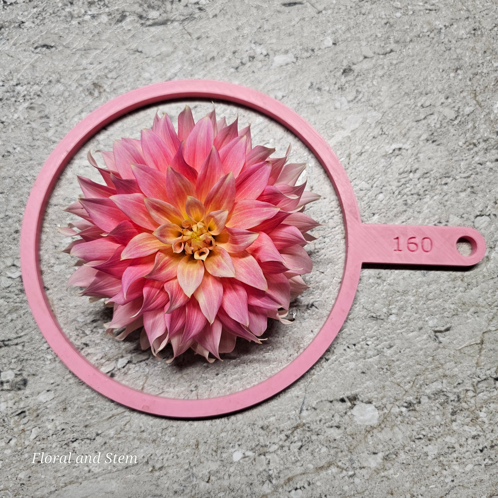 Cliff's Salmon – Floral and Stem