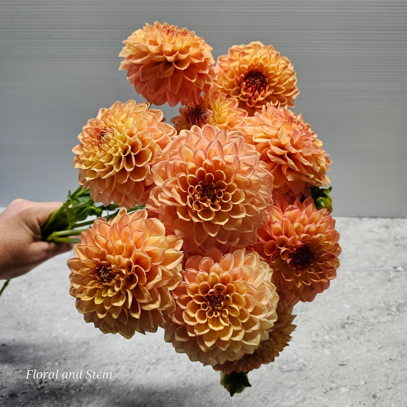 Cottage Delight – Floral and Stem