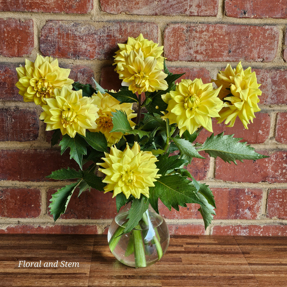 Devon Moon – Floral and Stem