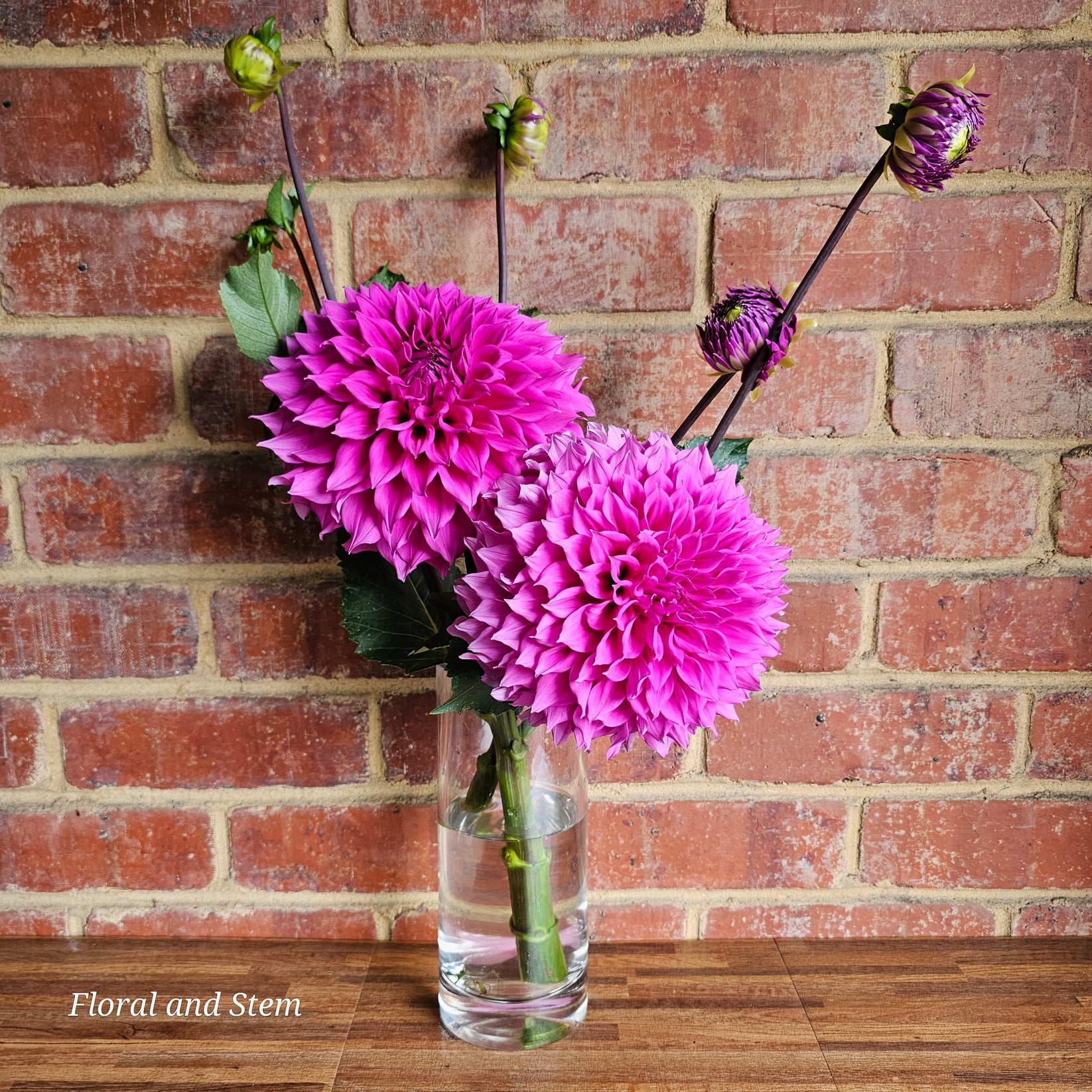 Elma Elizabeth – Floral and Stem