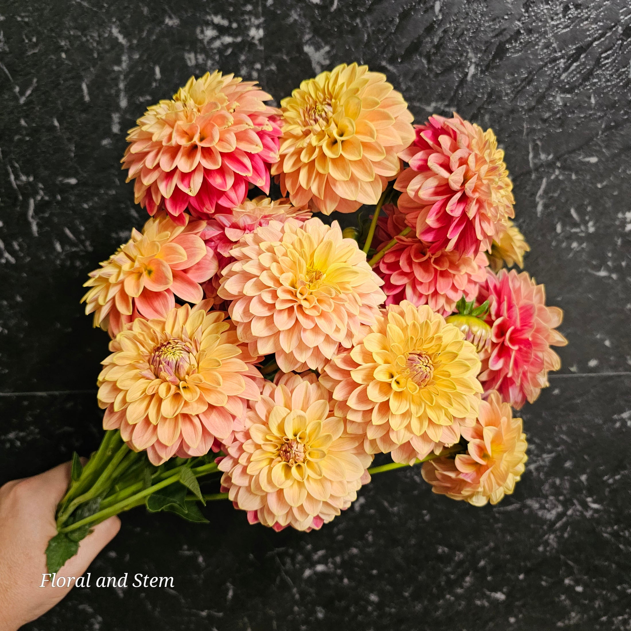 Florelie Fruit Tingle – Floral and Stem