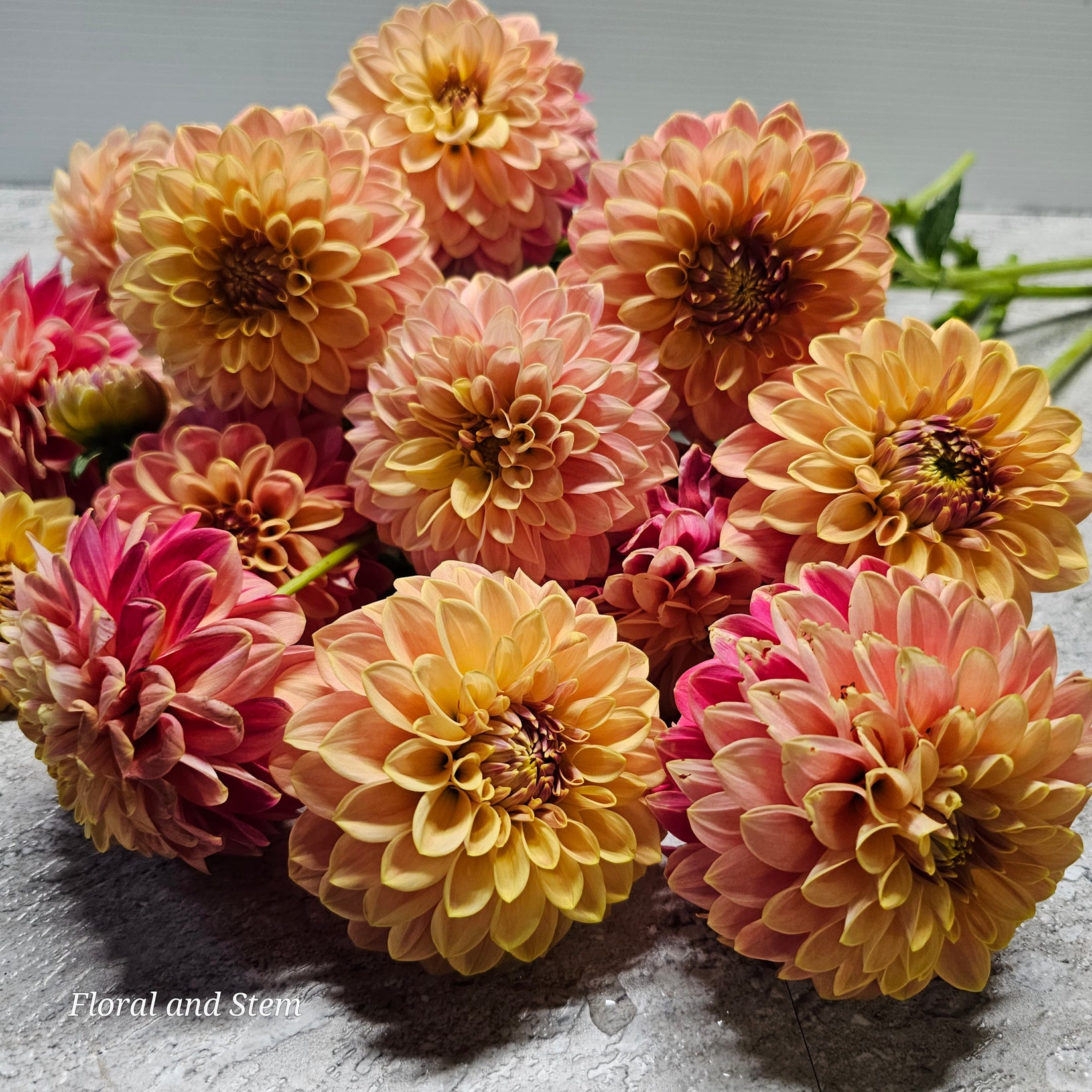 Florelie Fruit Tingle – Floral and Stem