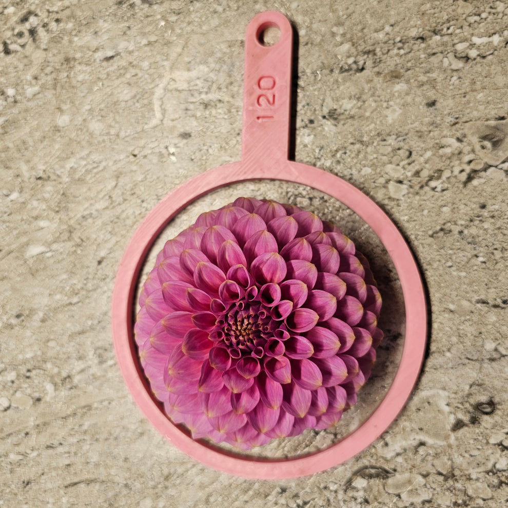 Florelie Oracle – Floral and Stem