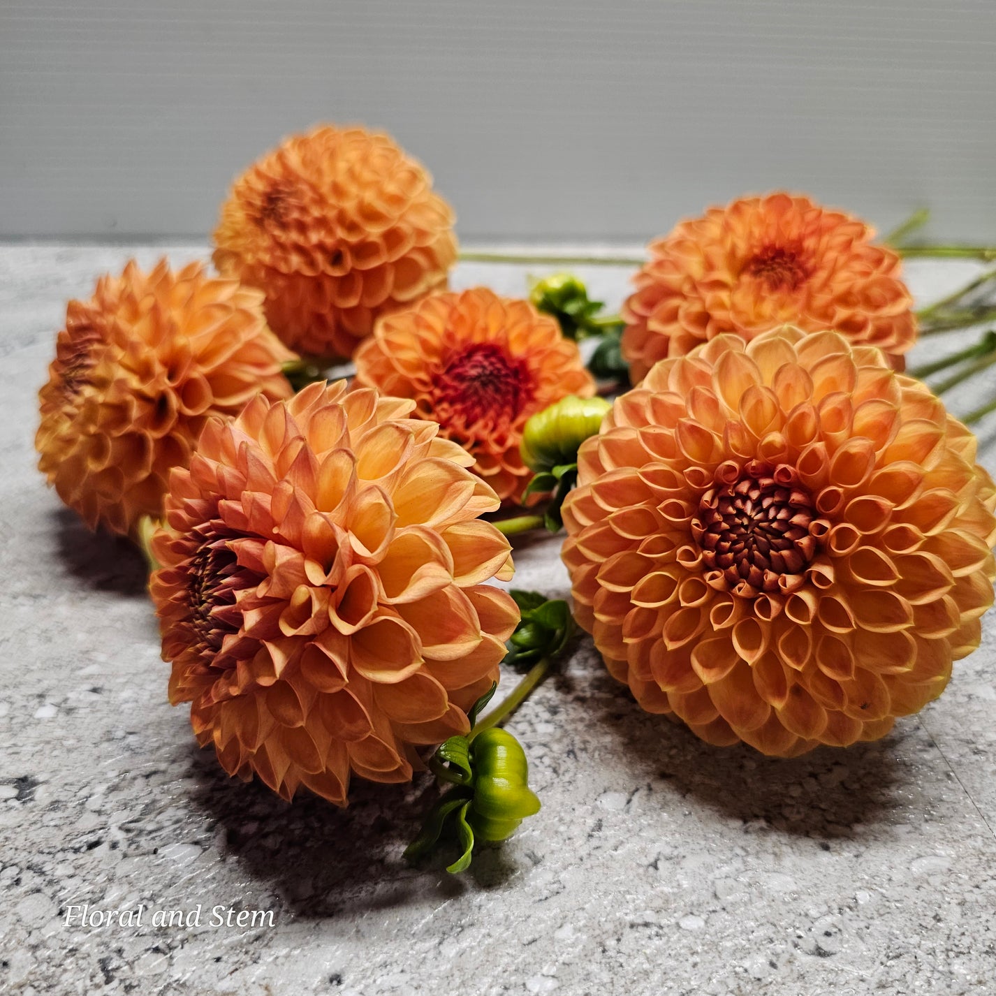 Formby Crest – Floral and Stem