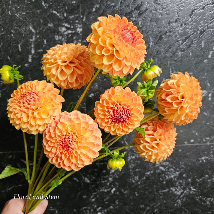 Formby Crest – Floral and Stem