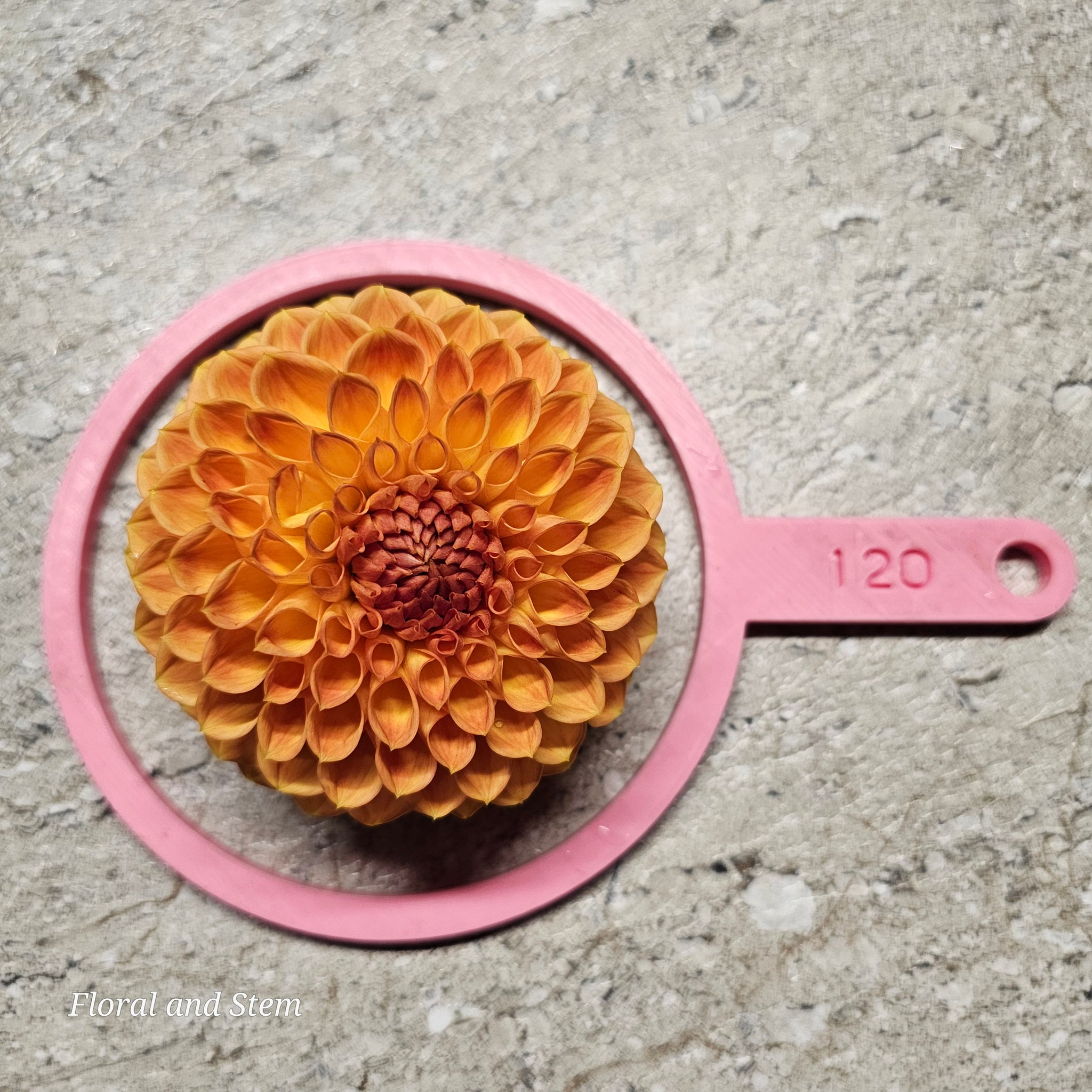 Formby Crest – Floral and Stem