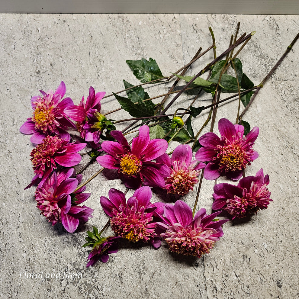 Mewling – Floral and Stem