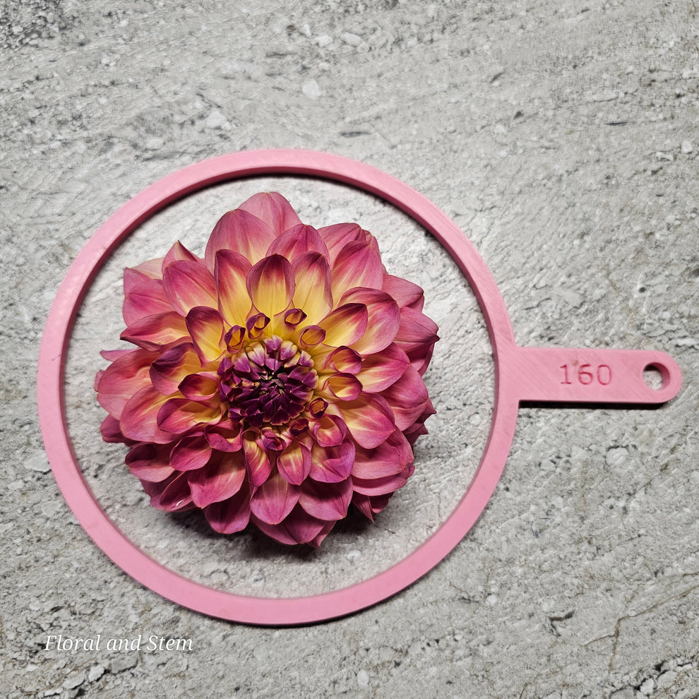 Sunny Rose – Floral and Stem