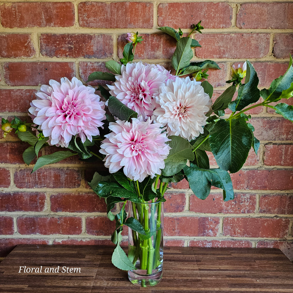 Unknown Pink – Floral and Stem
