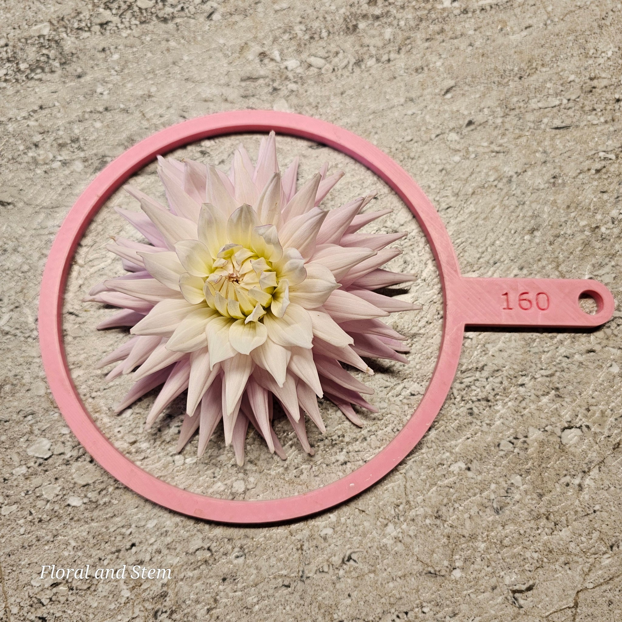 Val's Candy – Floral and Stem