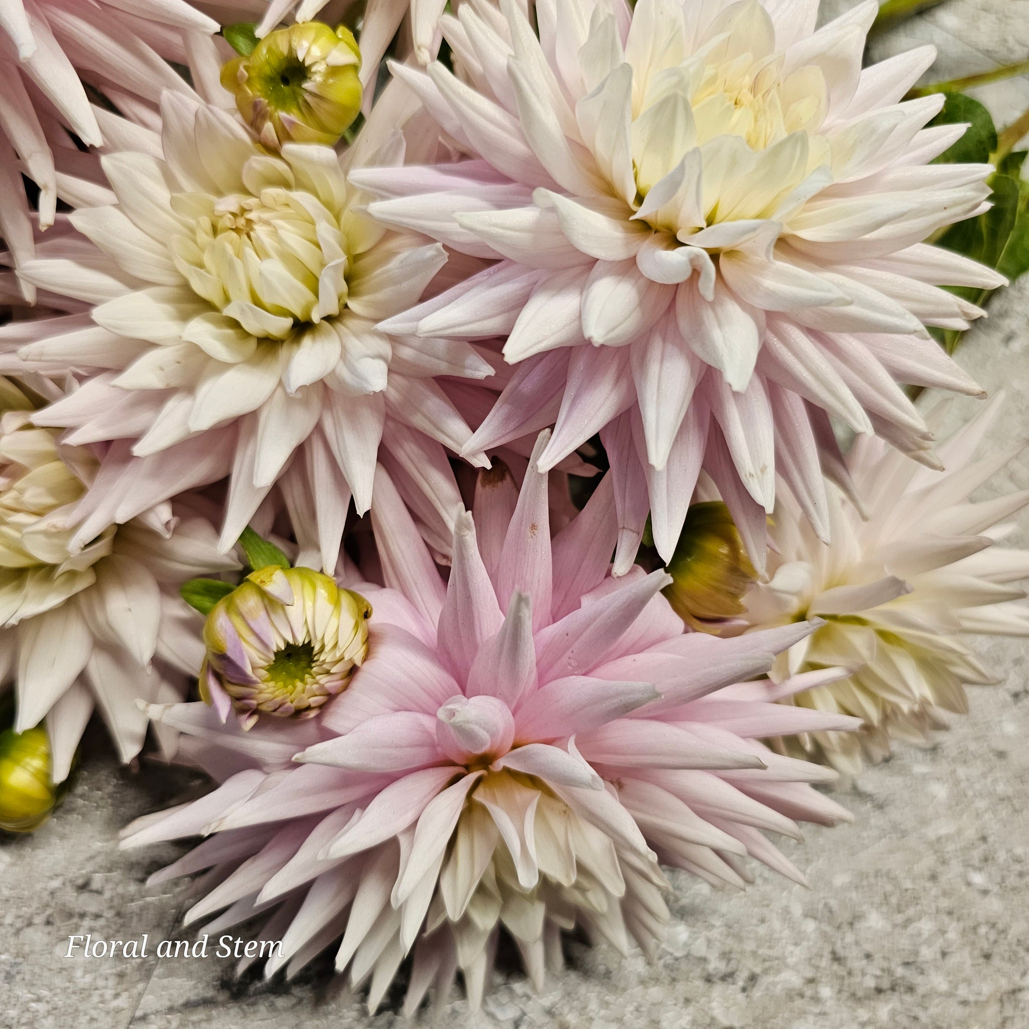 Val's Candy – Floral and Stem