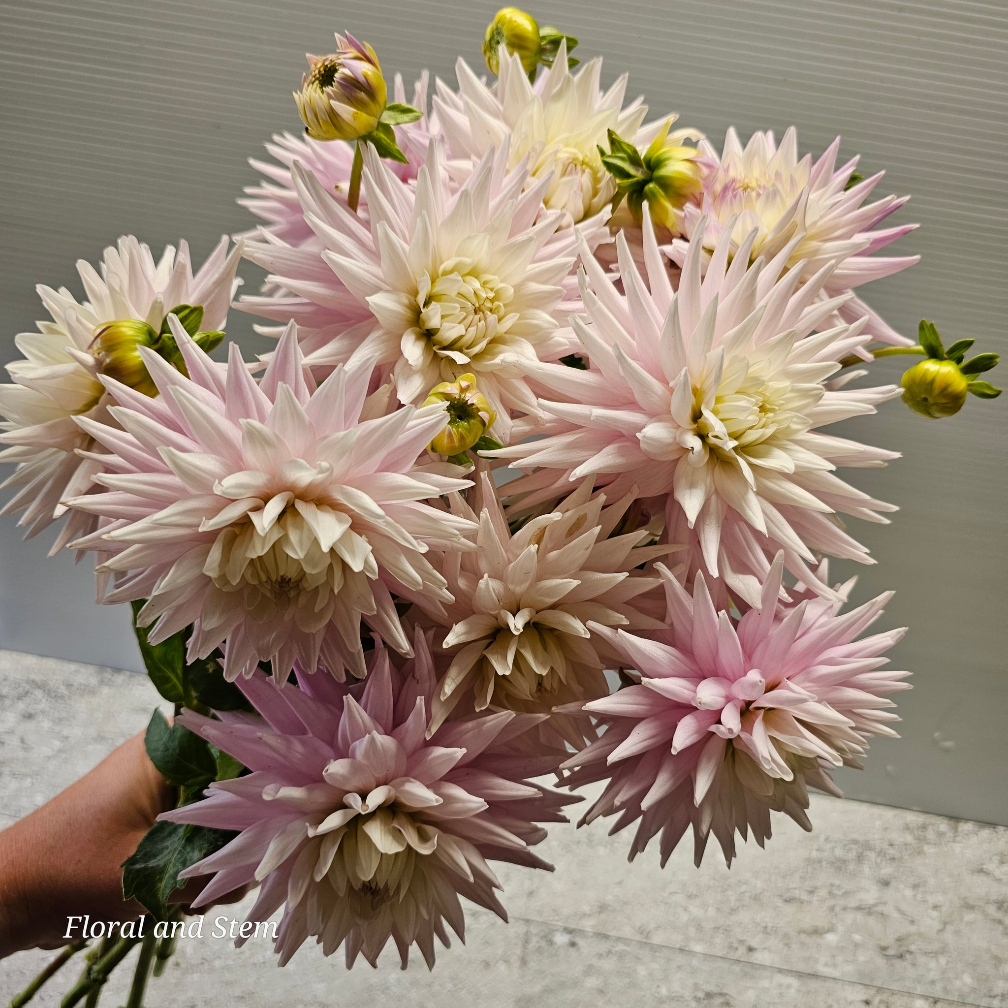 Val's Candy – Floral and Stem