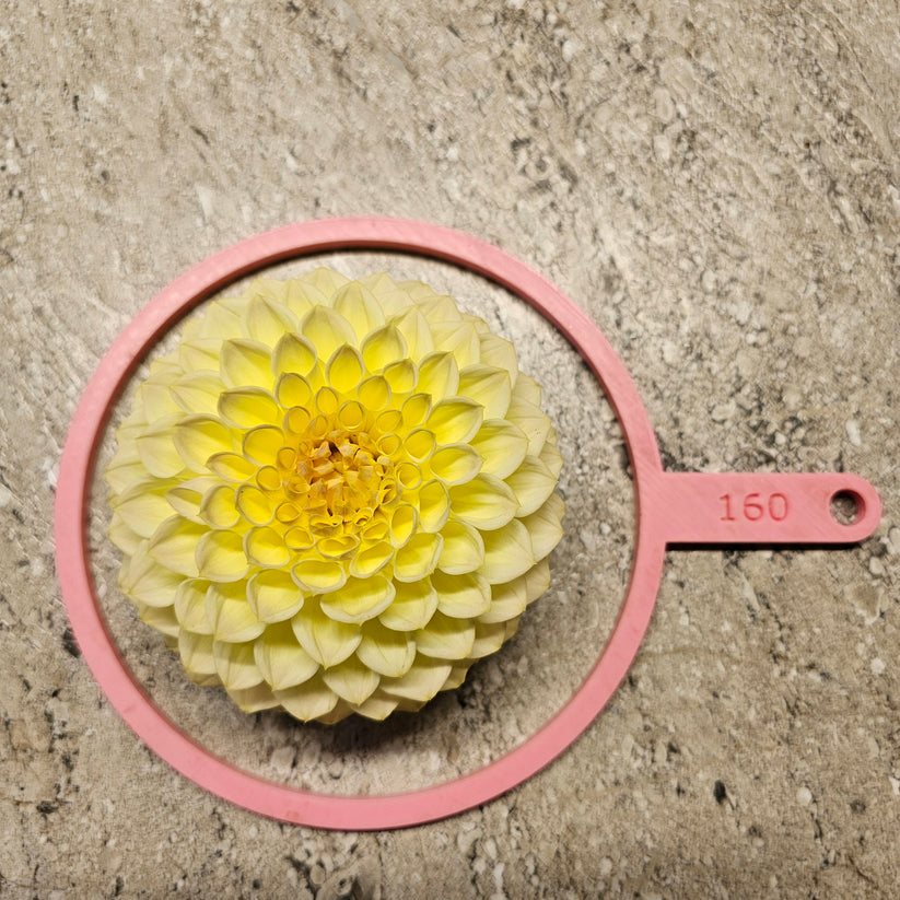 Winholme Diane – Floral and Stem